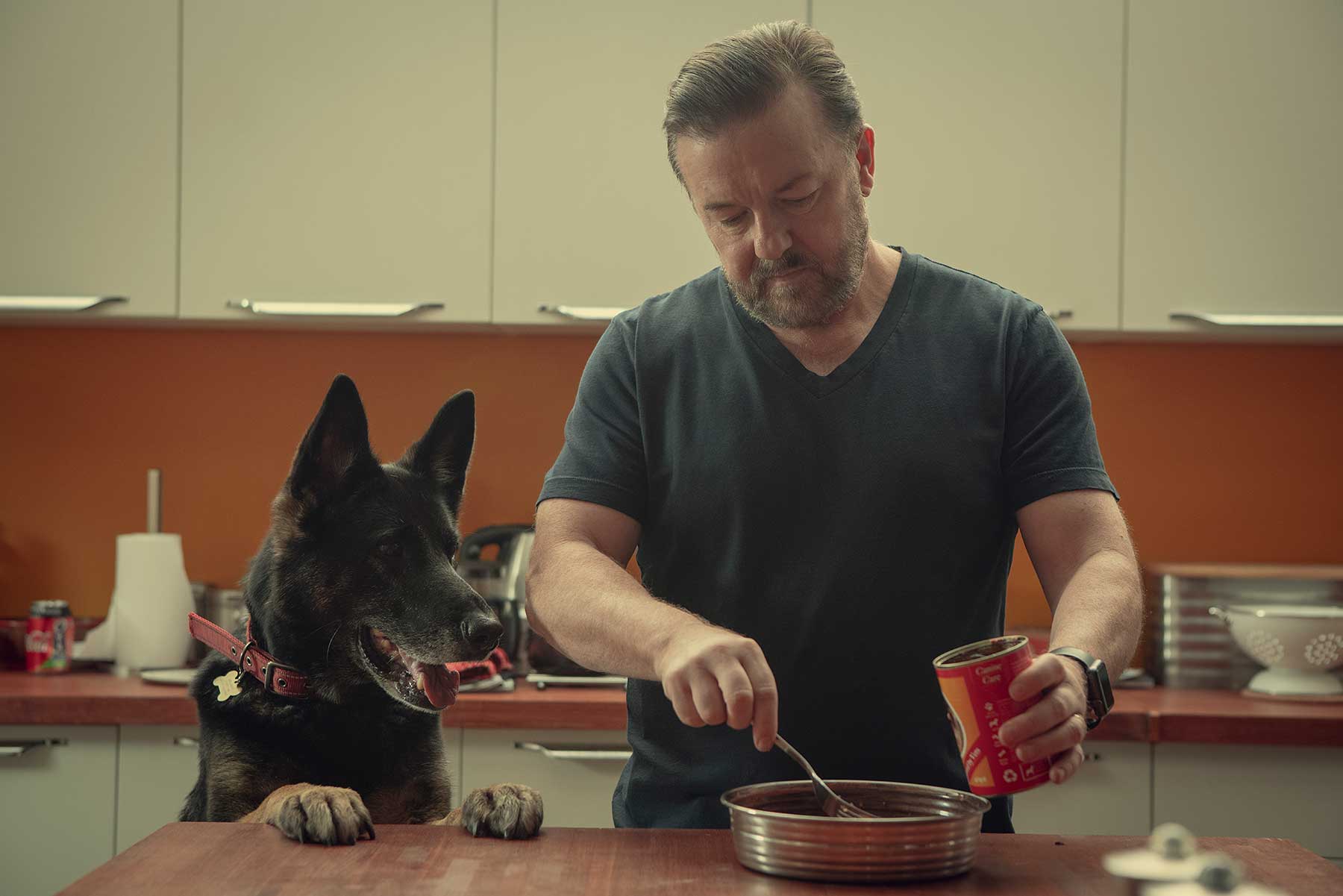 After Life (Netflix): Grief & Humanity - Loud And Clear Reviews