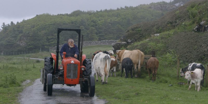 Prince of Muck: Film Review - Loud And Clear Reviews