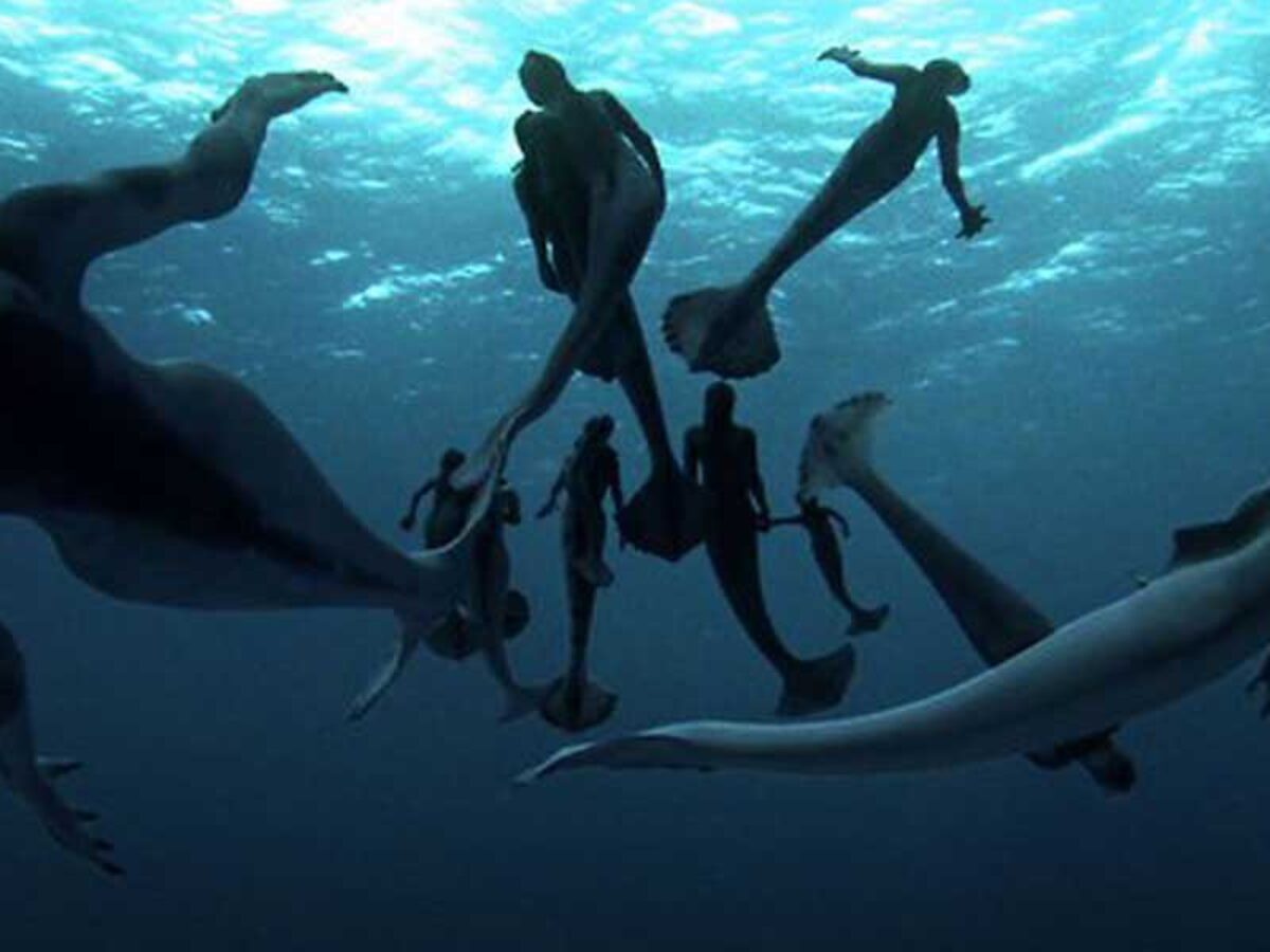 Mermaids Body Found Top 10 Real Sea Creatures That Could Be Where