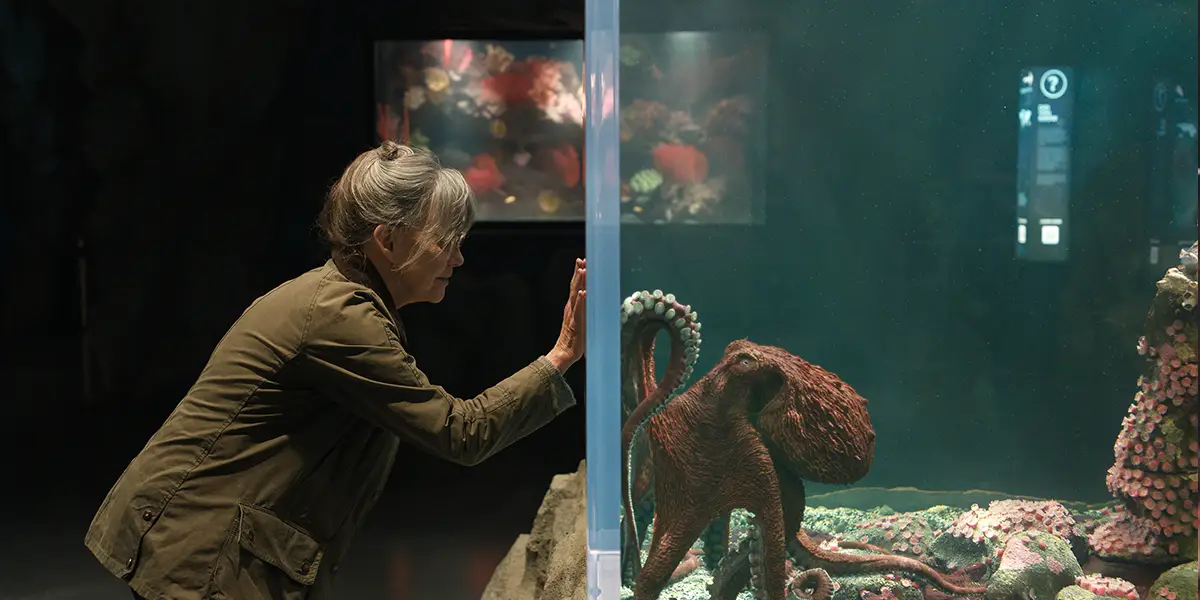 Remarkably Bright Creatures Film Review - Loud And Clear Reviews